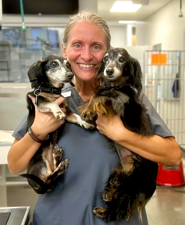 Our Veterinary Team | Emergency Veterinary Services of Fox Valley